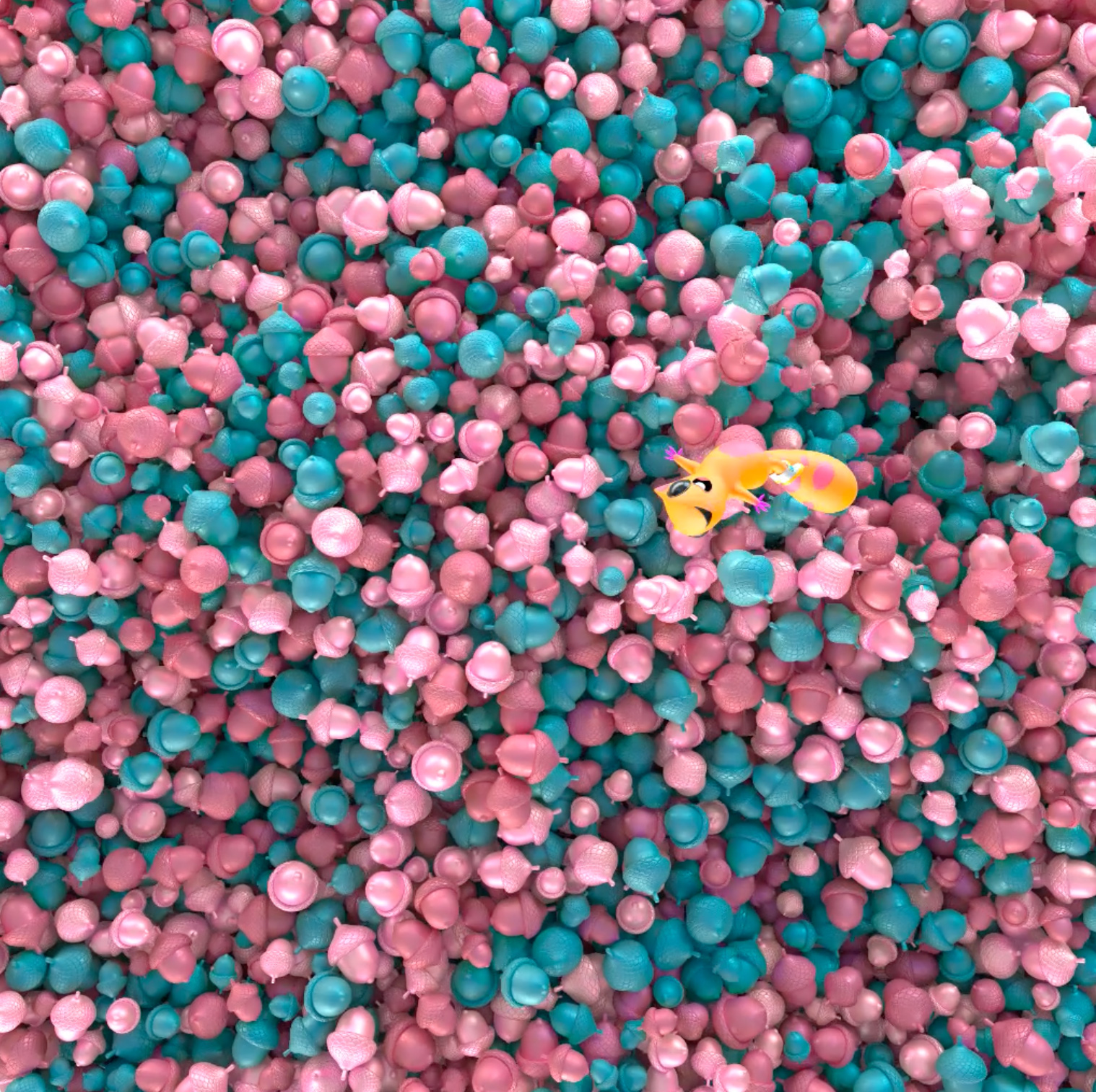 Shiny – Jumping Squirrel : Watch Out